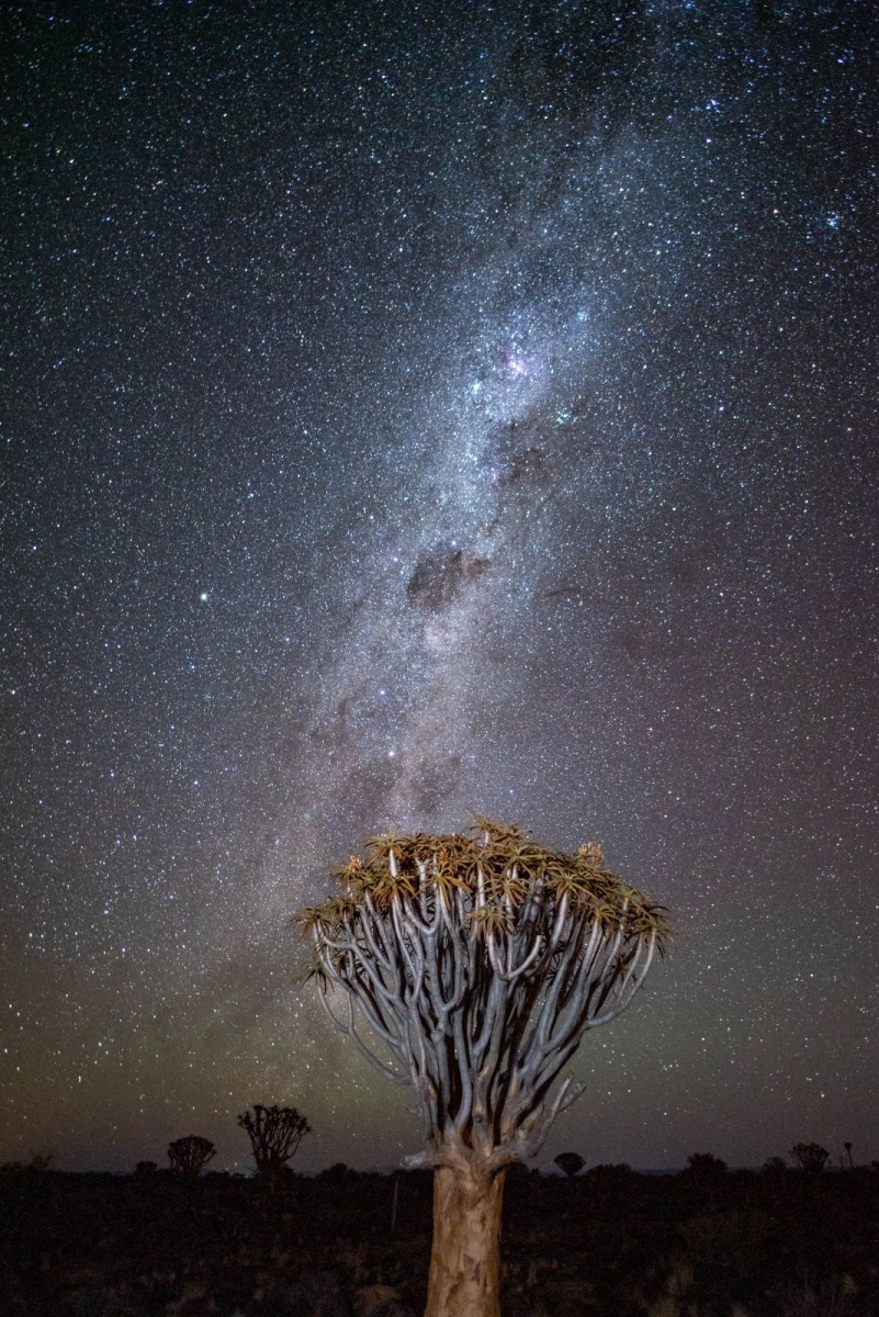 Project 1 | Just another WordPress site